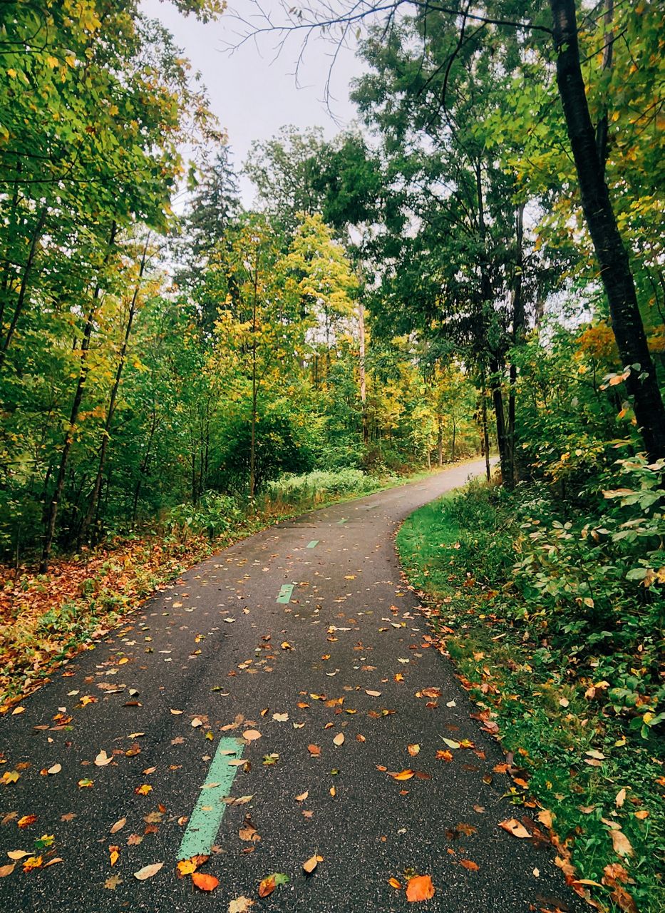 Here's where fall colors are starting to pop in Ohio