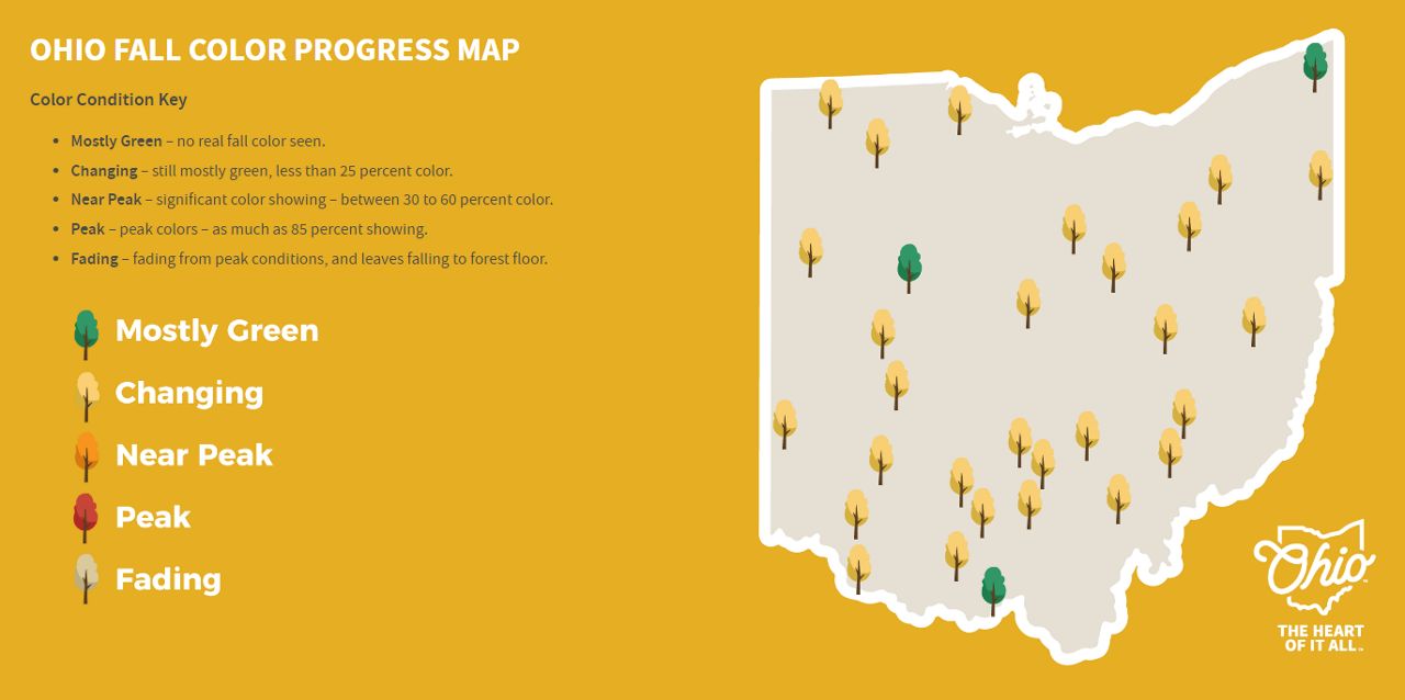 Here's where fall colors are starting to pop in Ohio