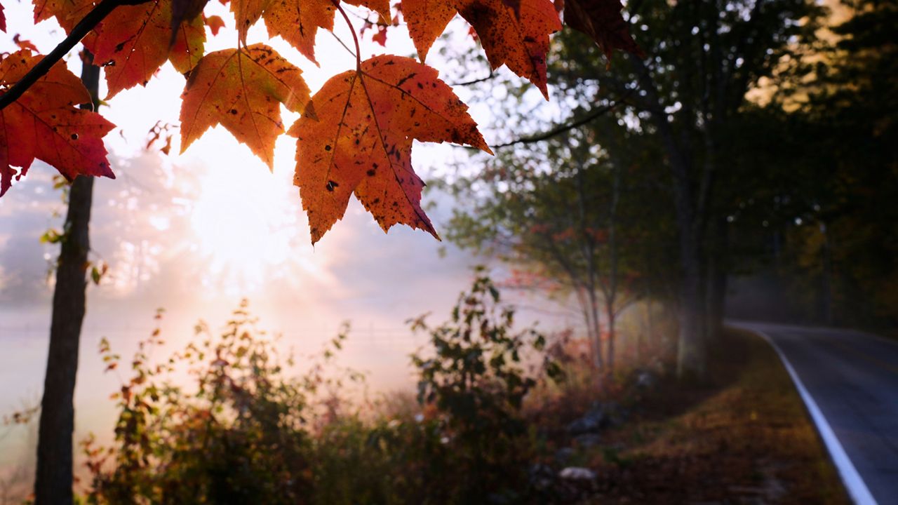 Tracking Wisconsin's changing leaves this week