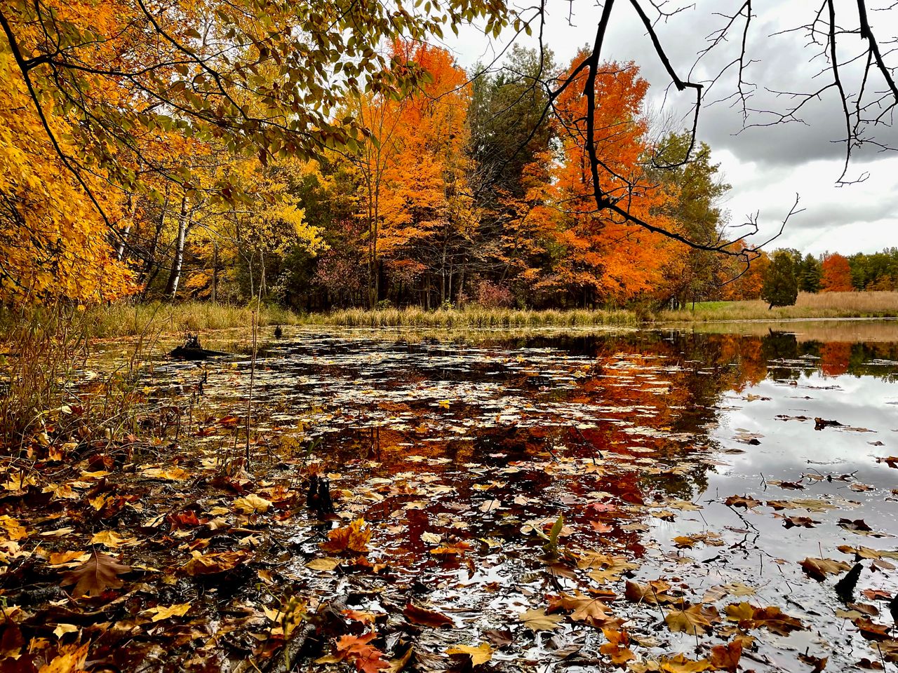 Wisconsin Landscapes In The Fall