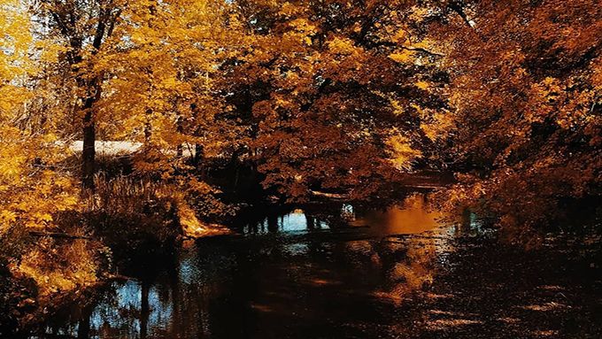 Fall colors emerge heading into October