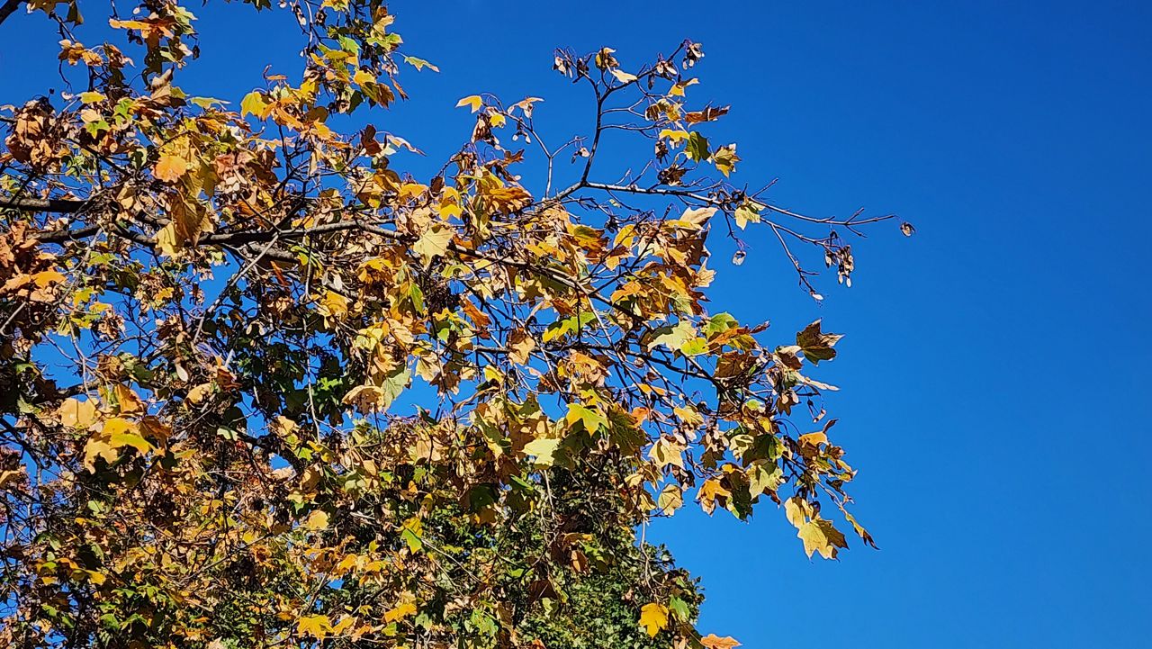 Mild pattern looks to stretch into December