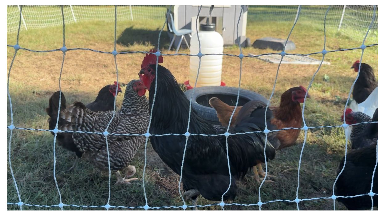 Kentucky farmers reflect on expired Farm Bill