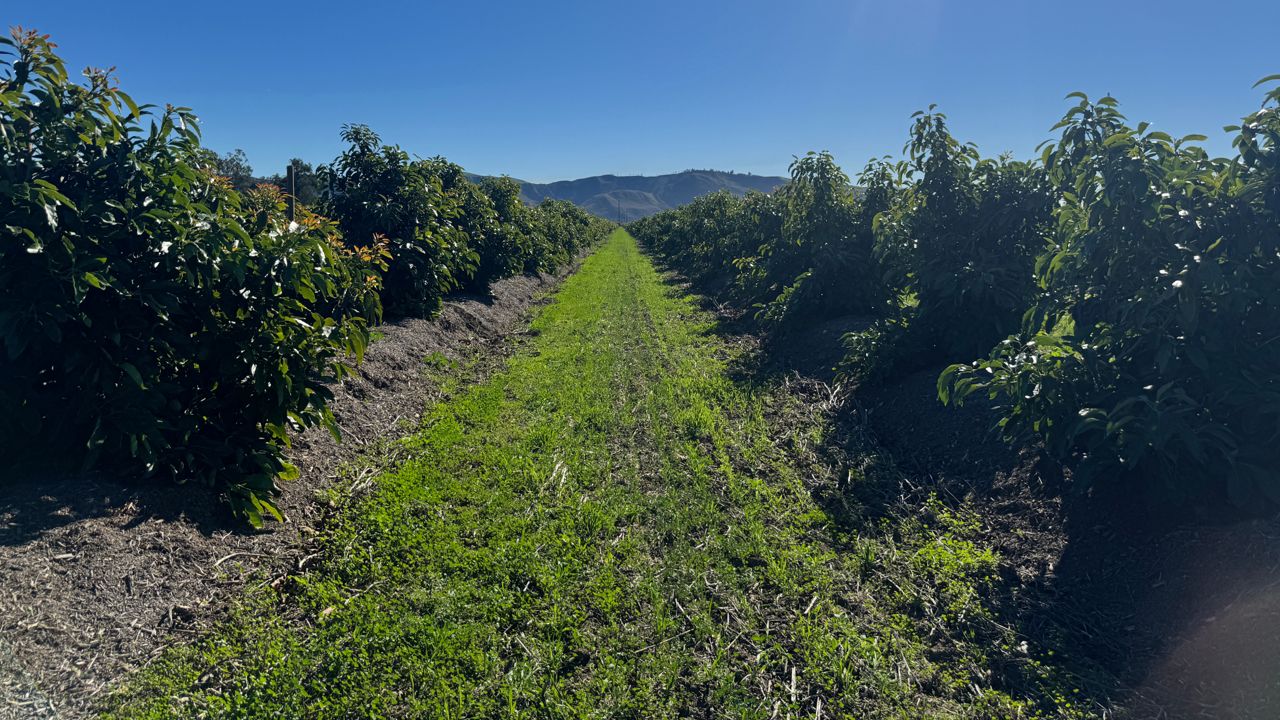 A federal rule could block compostable packaging