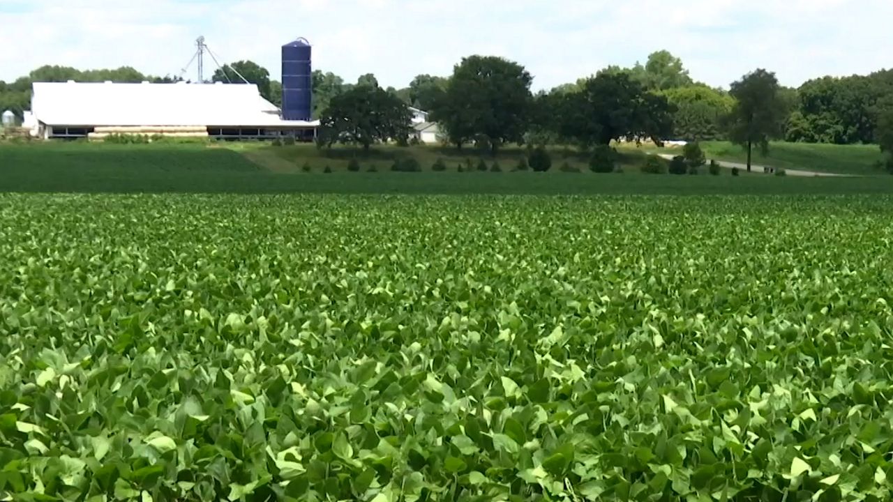 Wisconsin Leads Nation in Farm Bankruptcies By Wide Margin