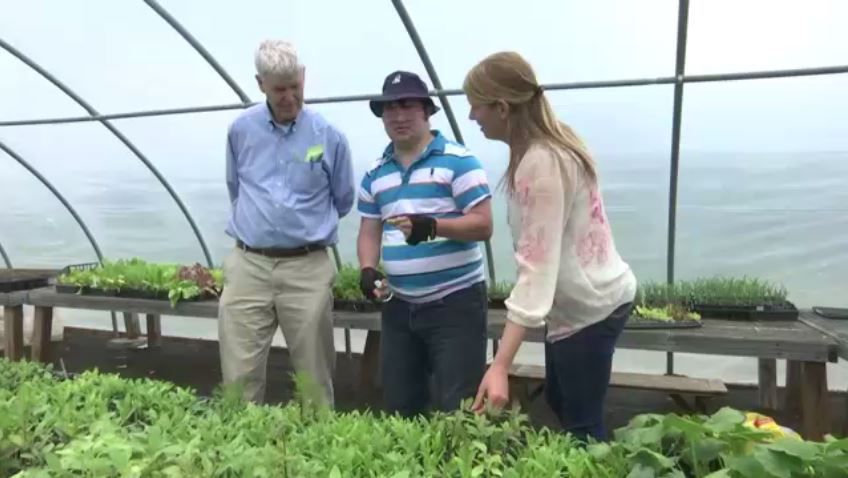 Local Farm Provides Skill Training to People Living with Disabilities