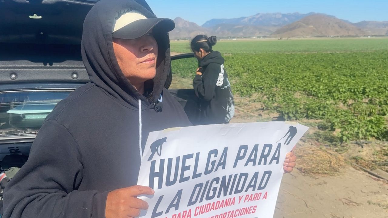 Lydia Pantazes - Journalist Profile - Intelligent Relations