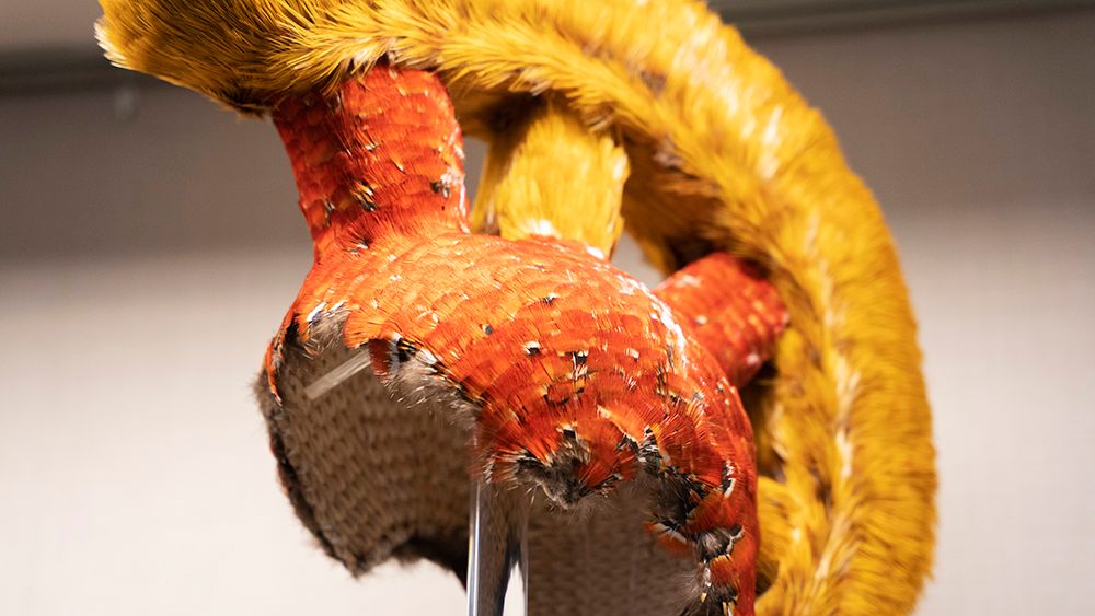 Hawaii Convention Center unveils Hawaiian cultural exhibits