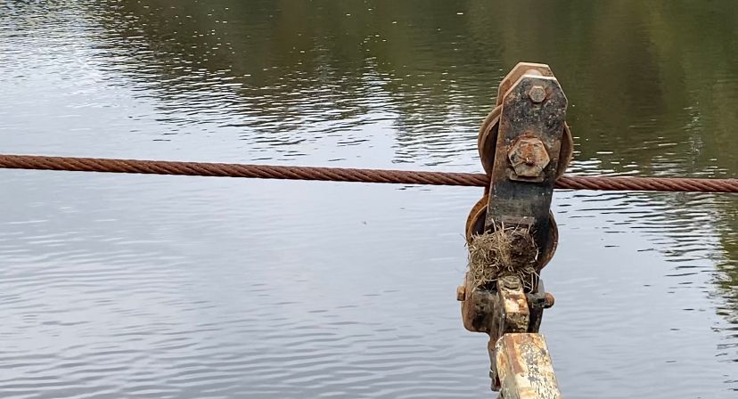 Getting there: The Elwell Cable Ferry returns