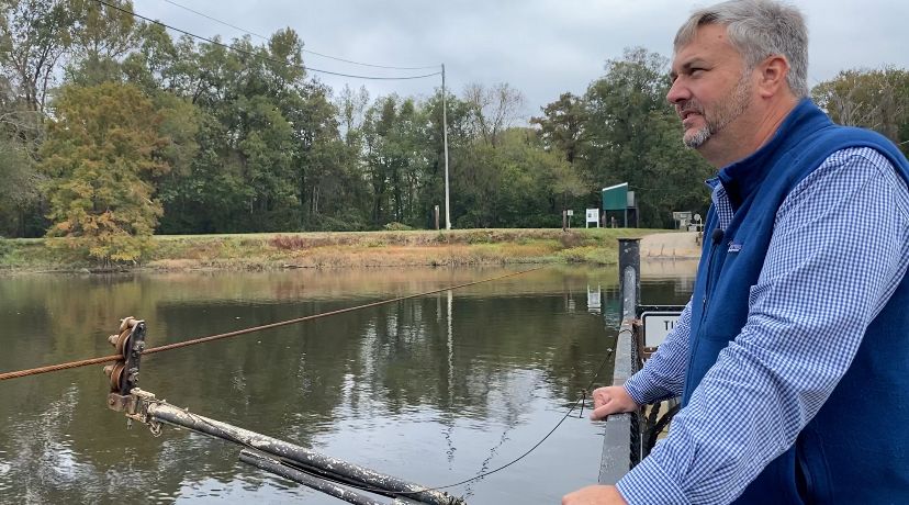 Getting there: The Elwell Cable Ferry returns