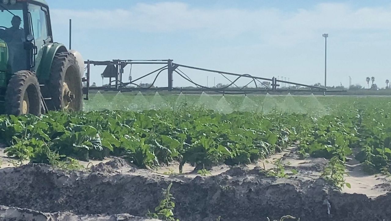 Edinburg CISD reaches out to migrant agricultural students