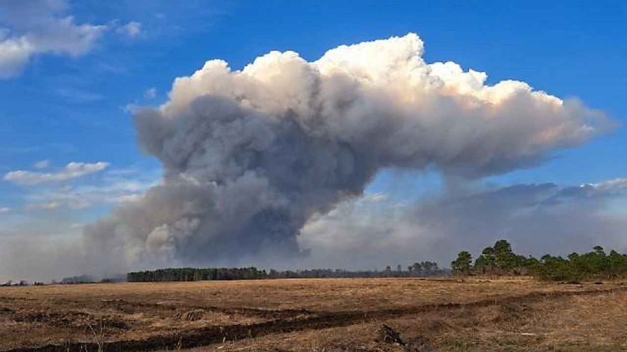 Tyrrell County wildfire over 50% contained