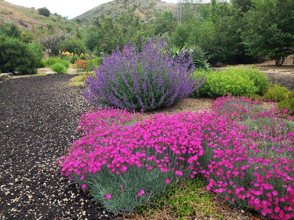 What you need to know before fire season