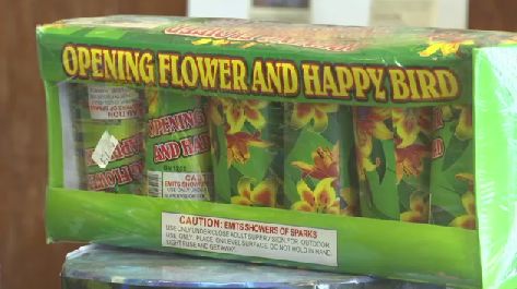 Opening Flower And Happy Bird Firework | Best Flower Site