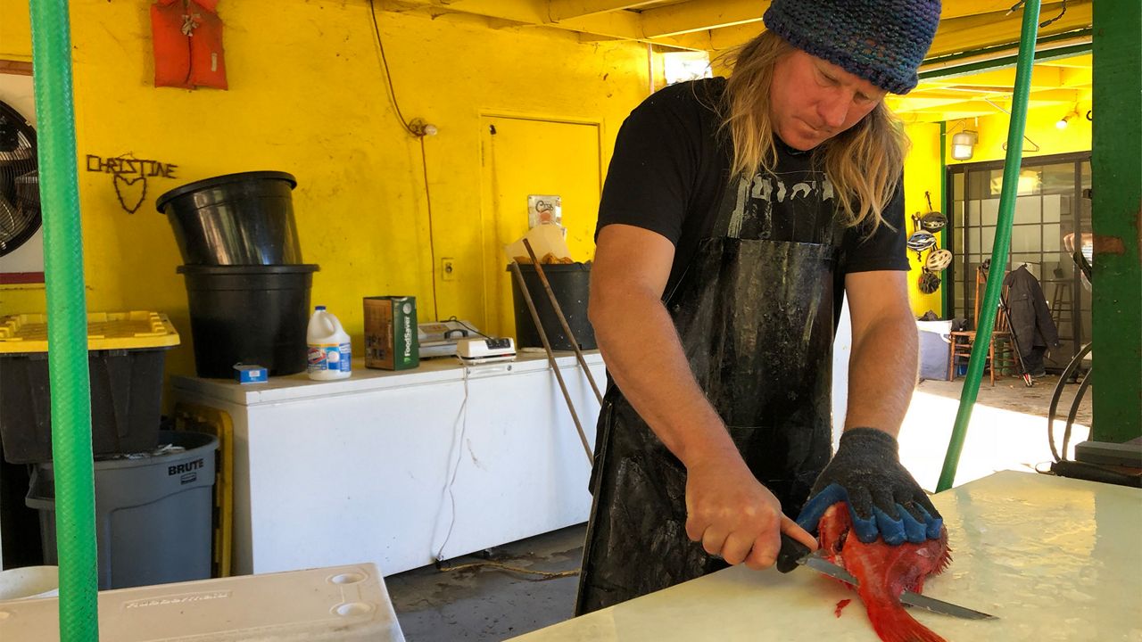 The Truth About Where Your Fish Comes From