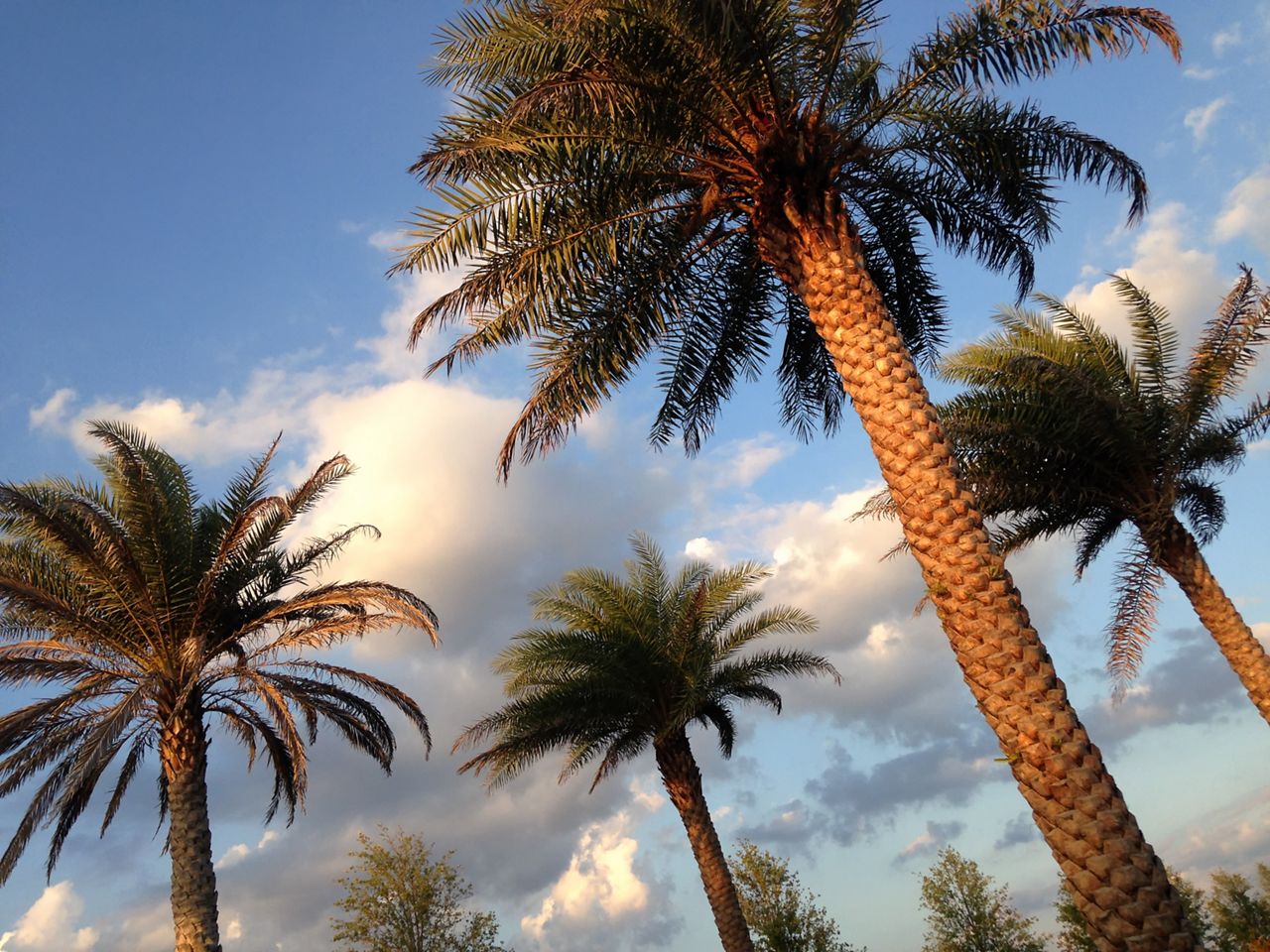 Florida is not the only hot place to thaw out in the winter