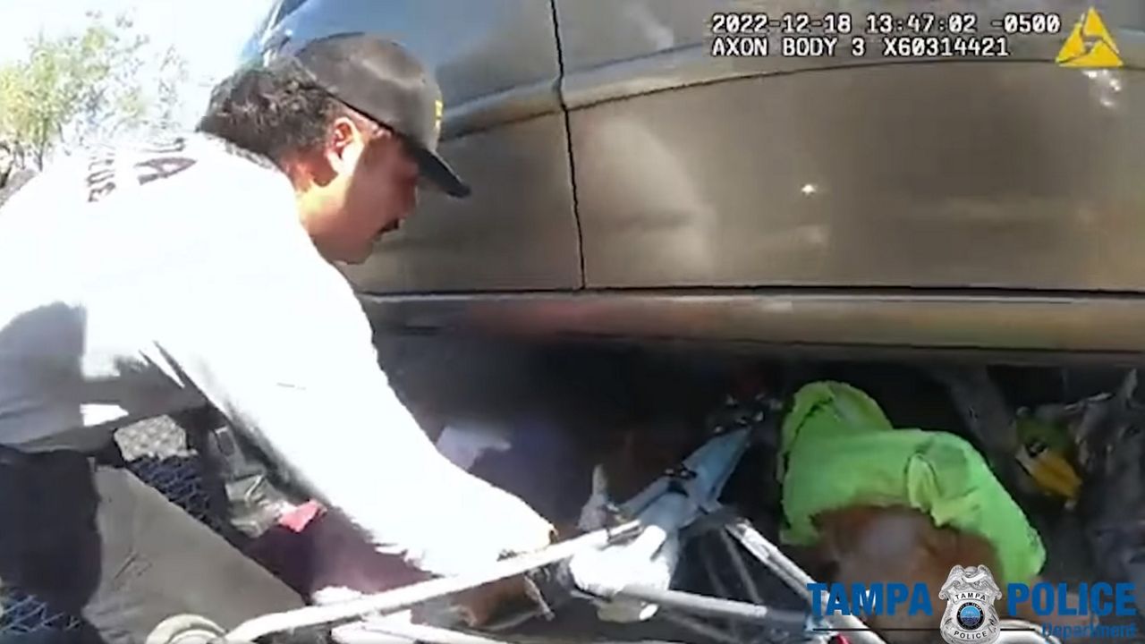 Great-grandmother and child trapped under car rescued
