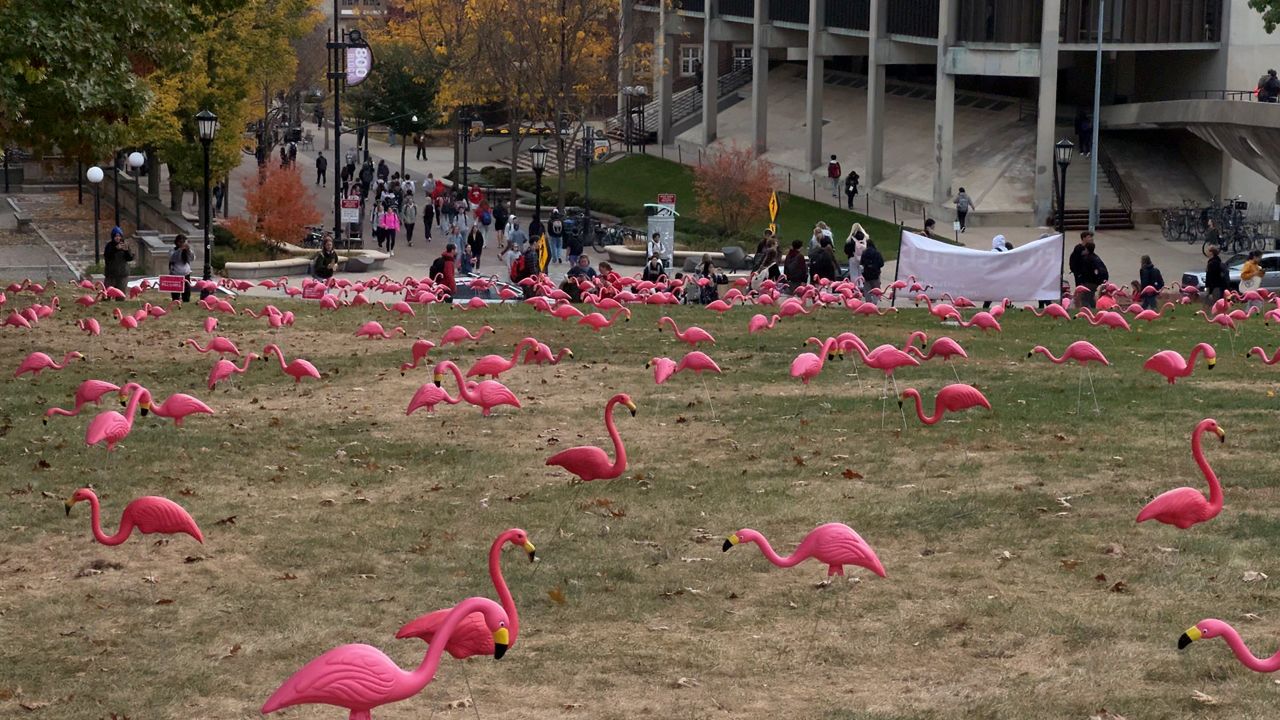 Madison prepares for Homecoming and Halloween weekend