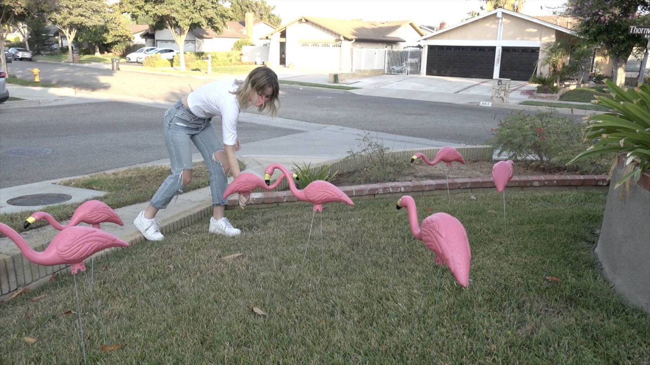 College Student Turns Common Prank Into a Business