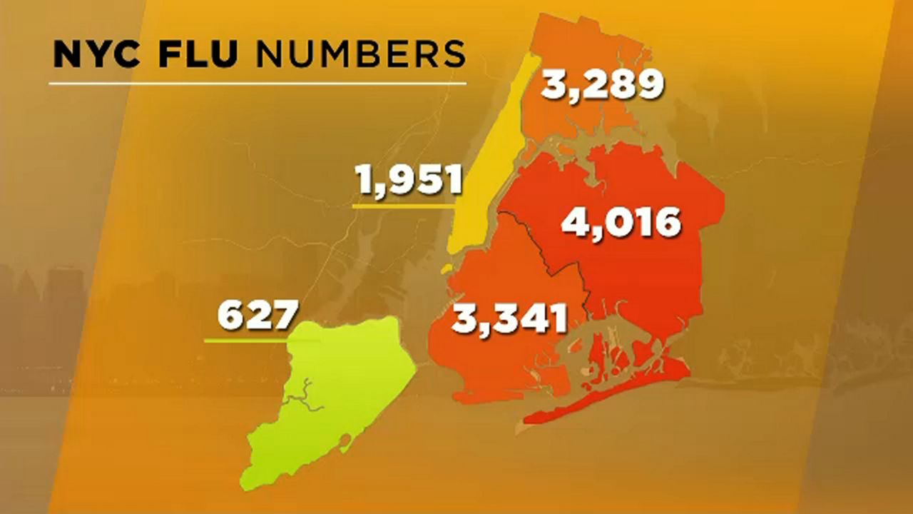 City responds to deadly flu epidemic