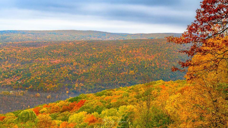 Fall Color Past Peak For Many This Weekend