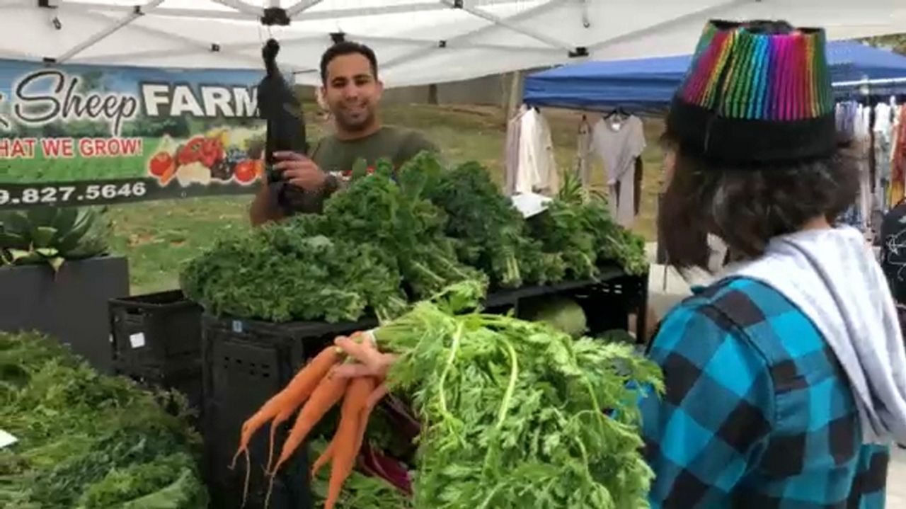 Fighting Food Insecurity on College Campuses