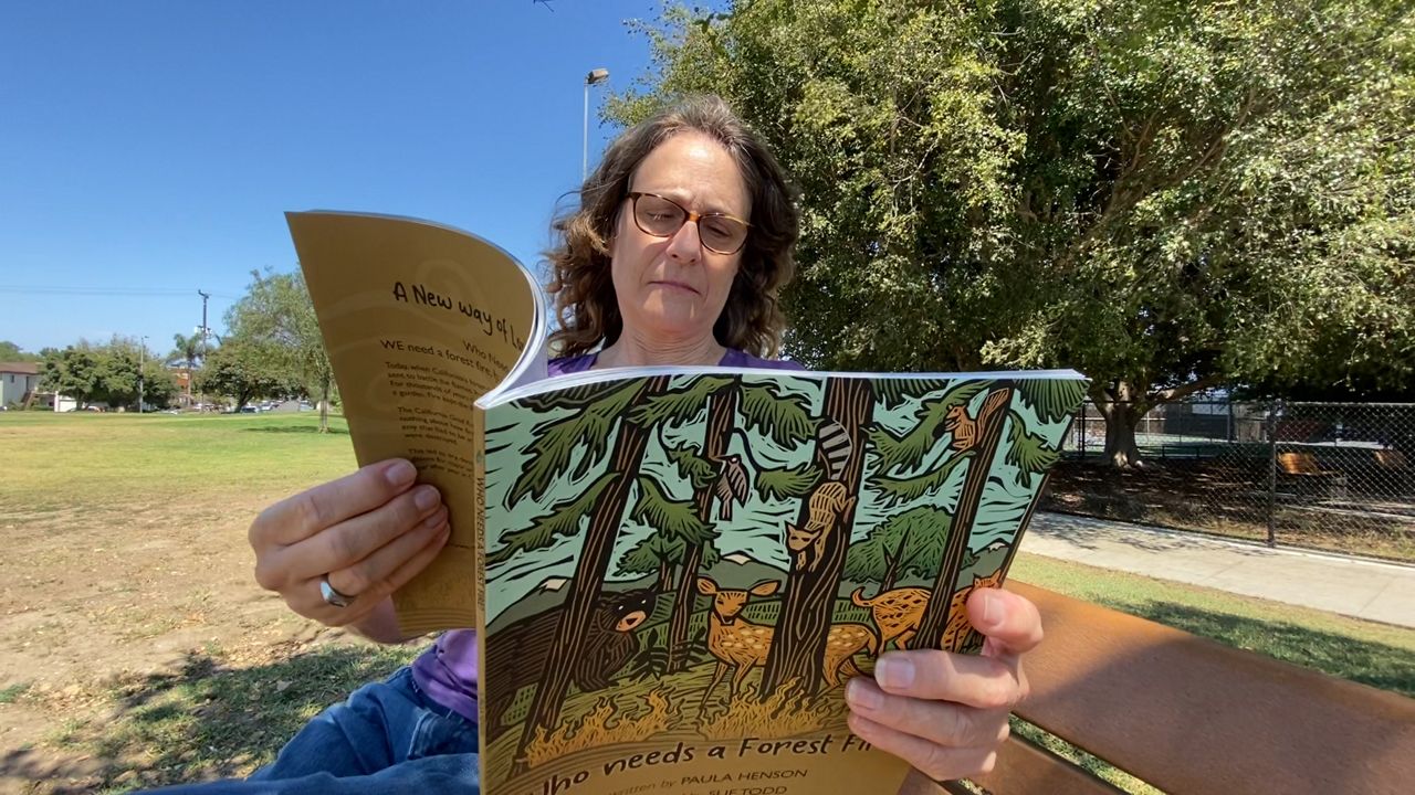 New children's book looks to change how we view forest fires