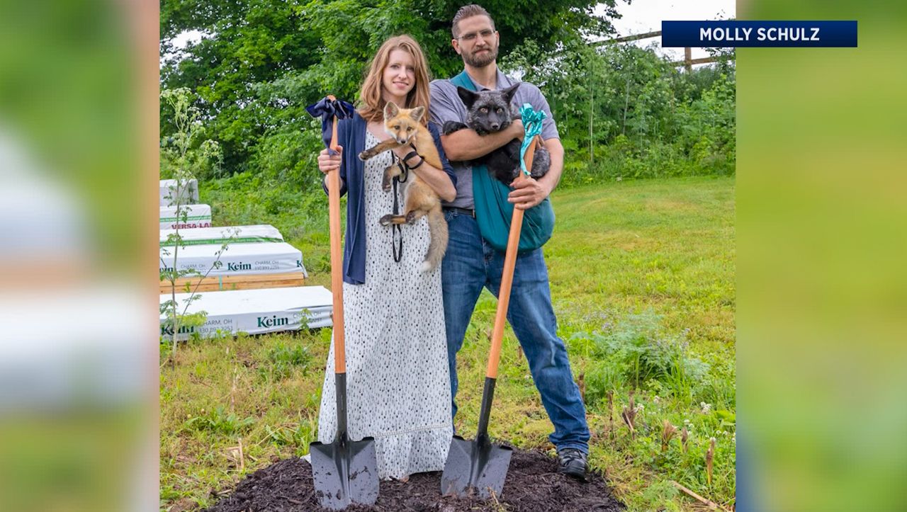 Wild Fox Rescue to open in Licking County, Ohio