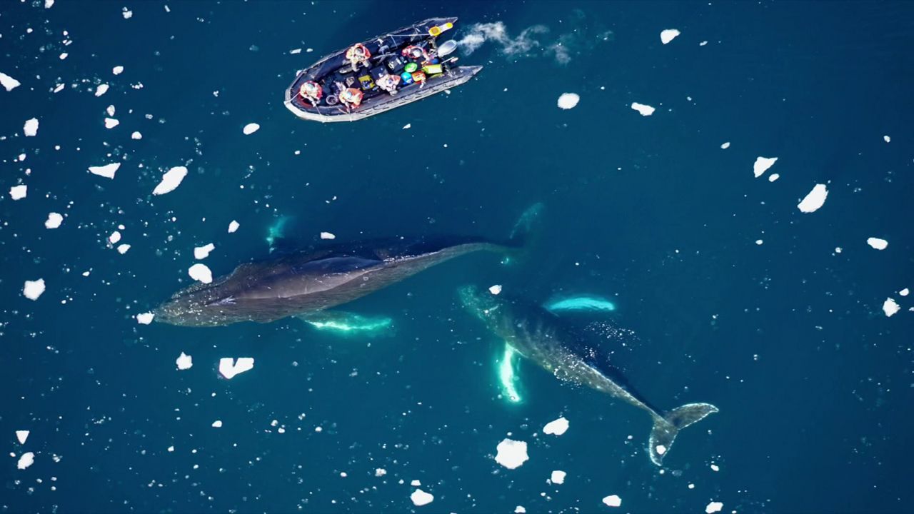 Using drones to explore North Carolina's marine areas