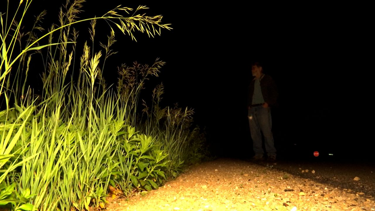 Volunteers help WDNR track frog, toad populations