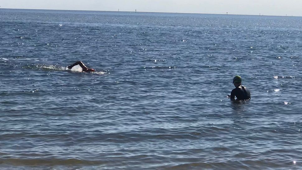 Frogman Swim Tampa 10th annual event