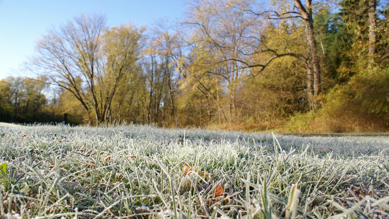 A Chance of Frost in the Weekend Forecast