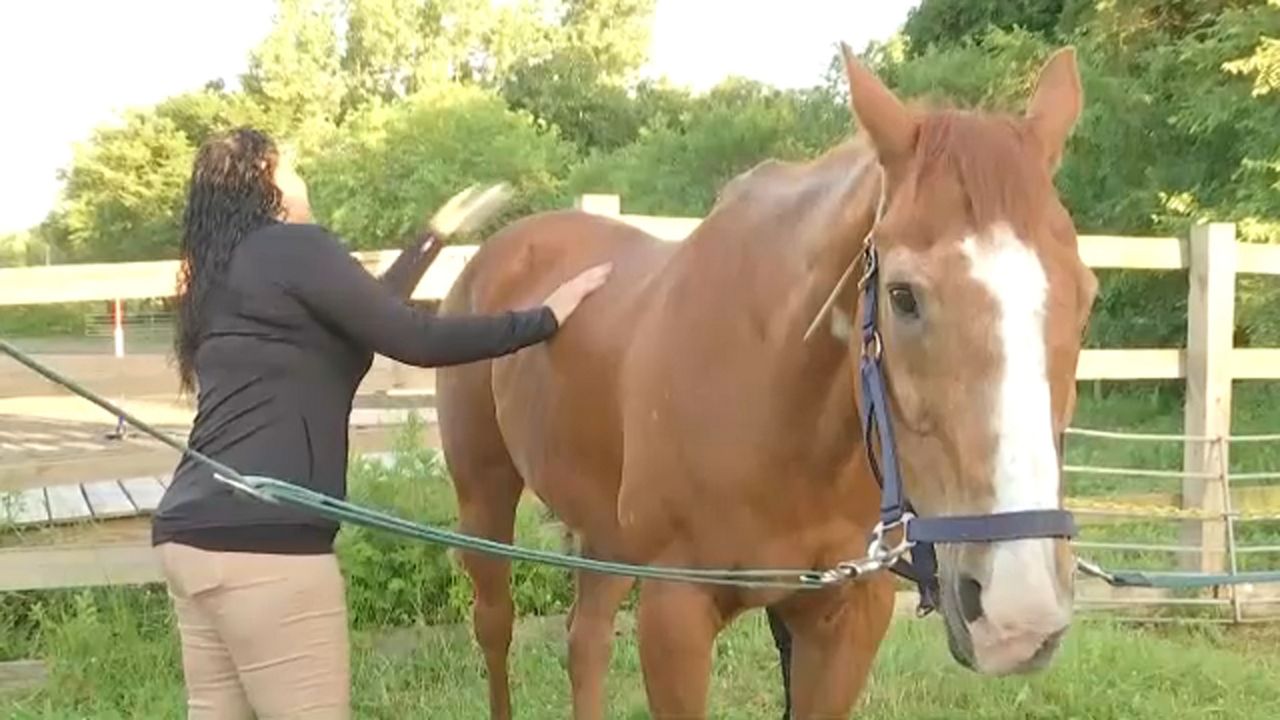 Nonprofit uses horseback rides to help people