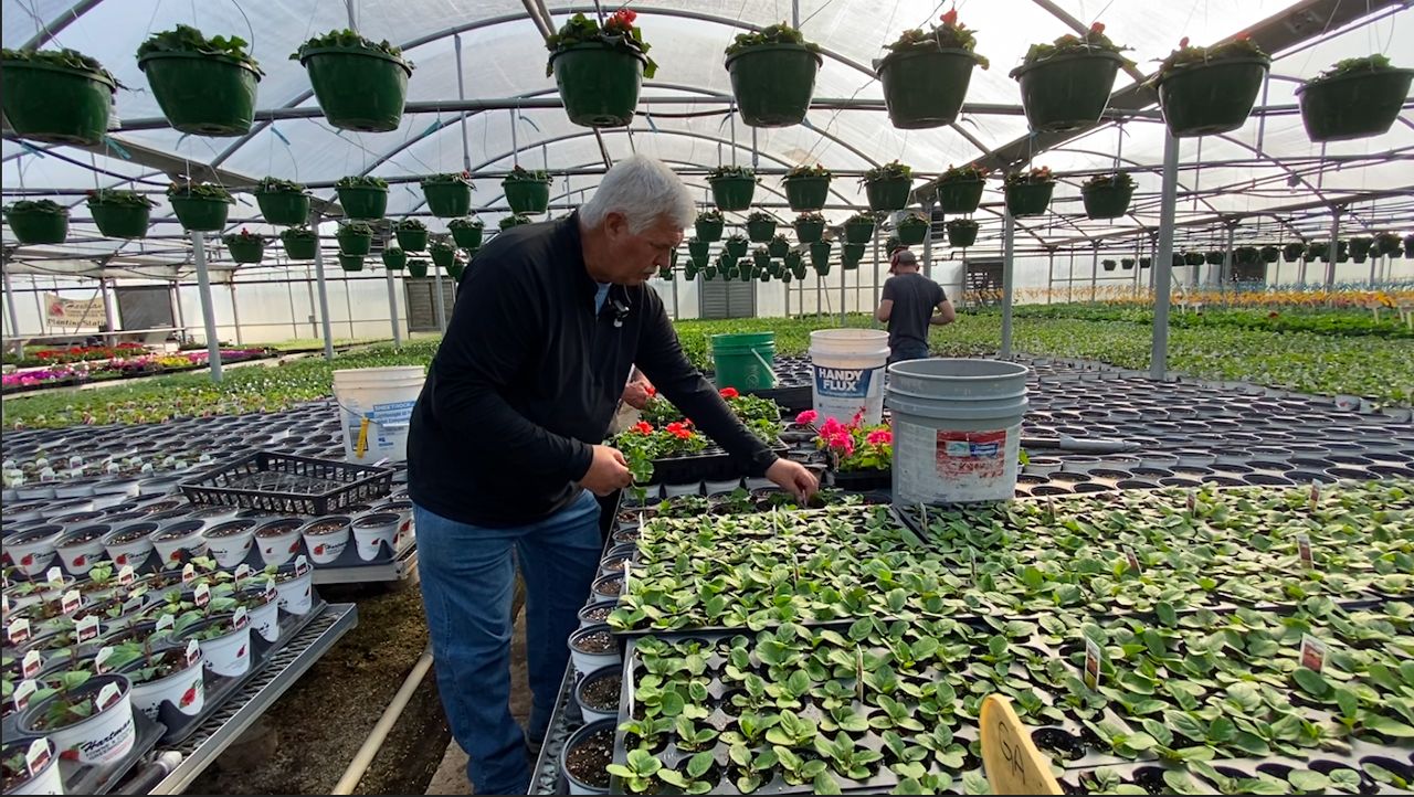 Garden centers affected by inflation prices expected to rise