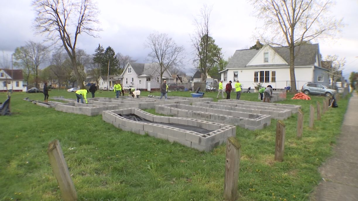 Group turns vacant lots into community gardens