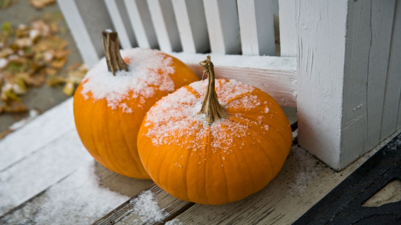 From Record Warmth to the First Flakes in One Week