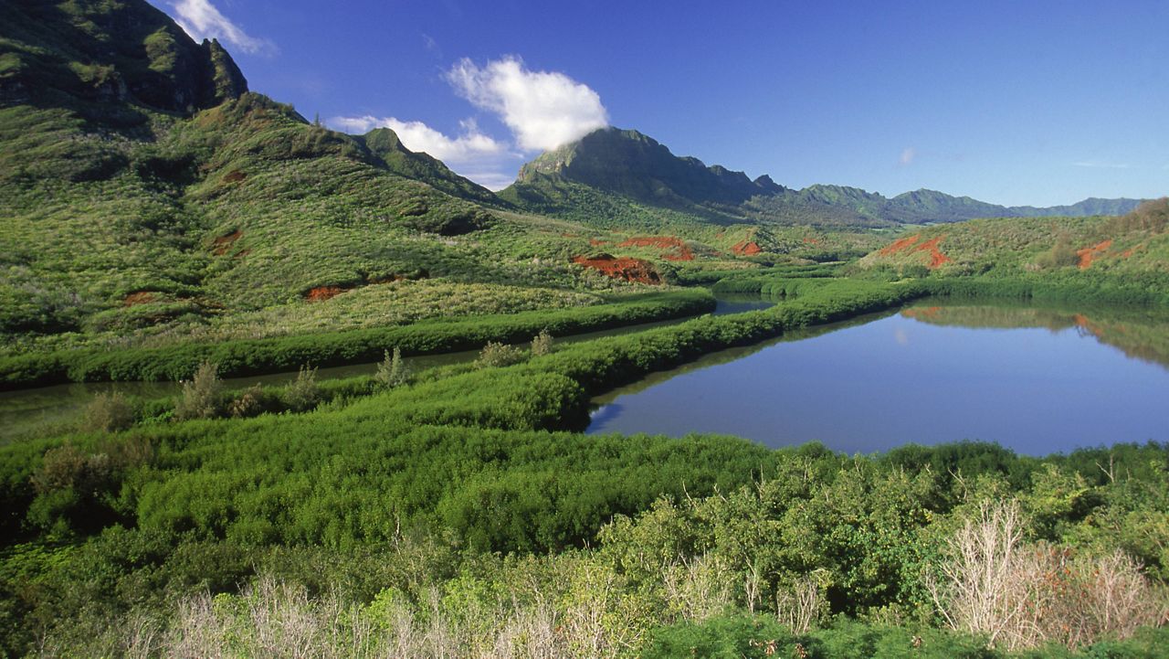 Nonprofit is new owner of Kauai’s last Hawaiian fishpond
