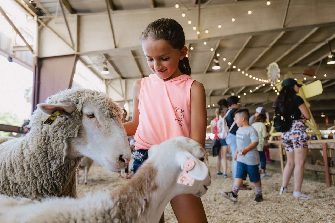 Cap'n Crunch chicken is on the menu at LA County Fair