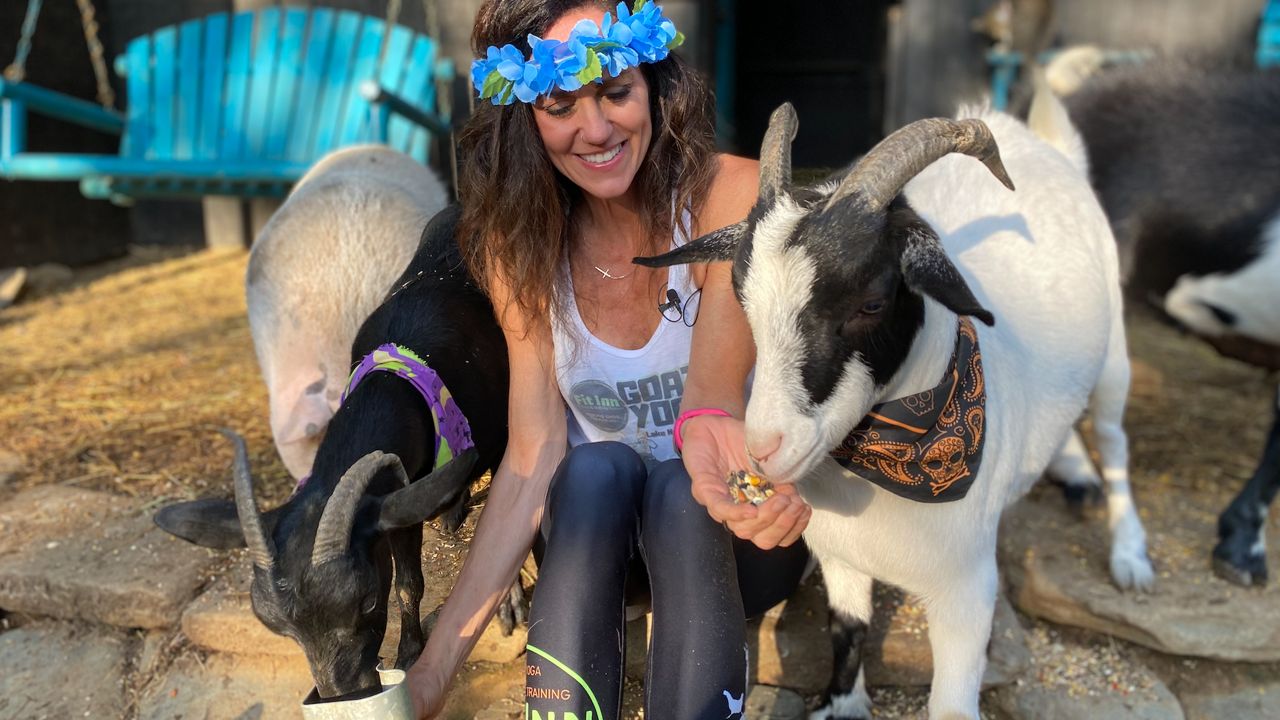 Feel Good Friday: A goat named Happy was brought on this earth for a ...