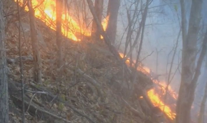 Forest Fire Continues to Burn in Greene County