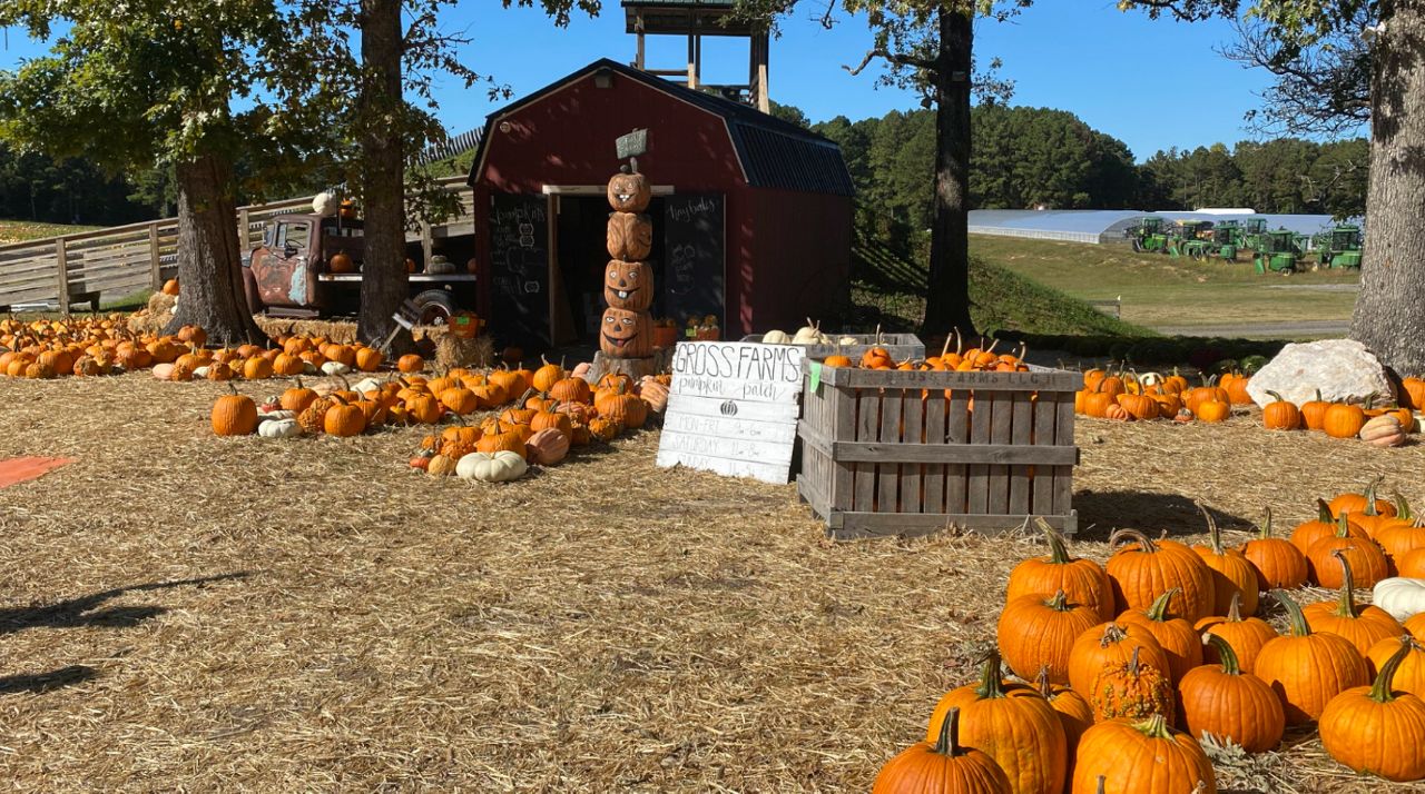 Gross Farms honored at North Carolina State Fair