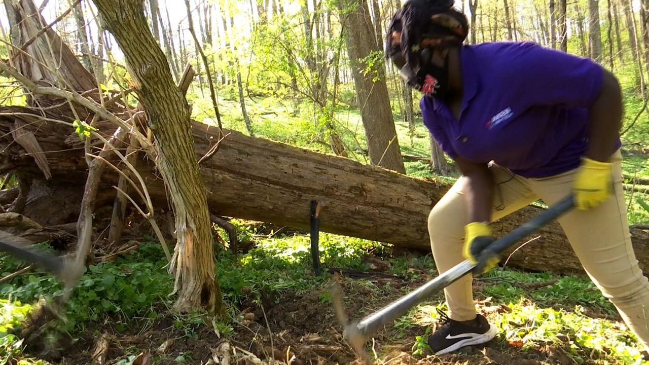 Groundwork puts students to work making Cincinnati greener