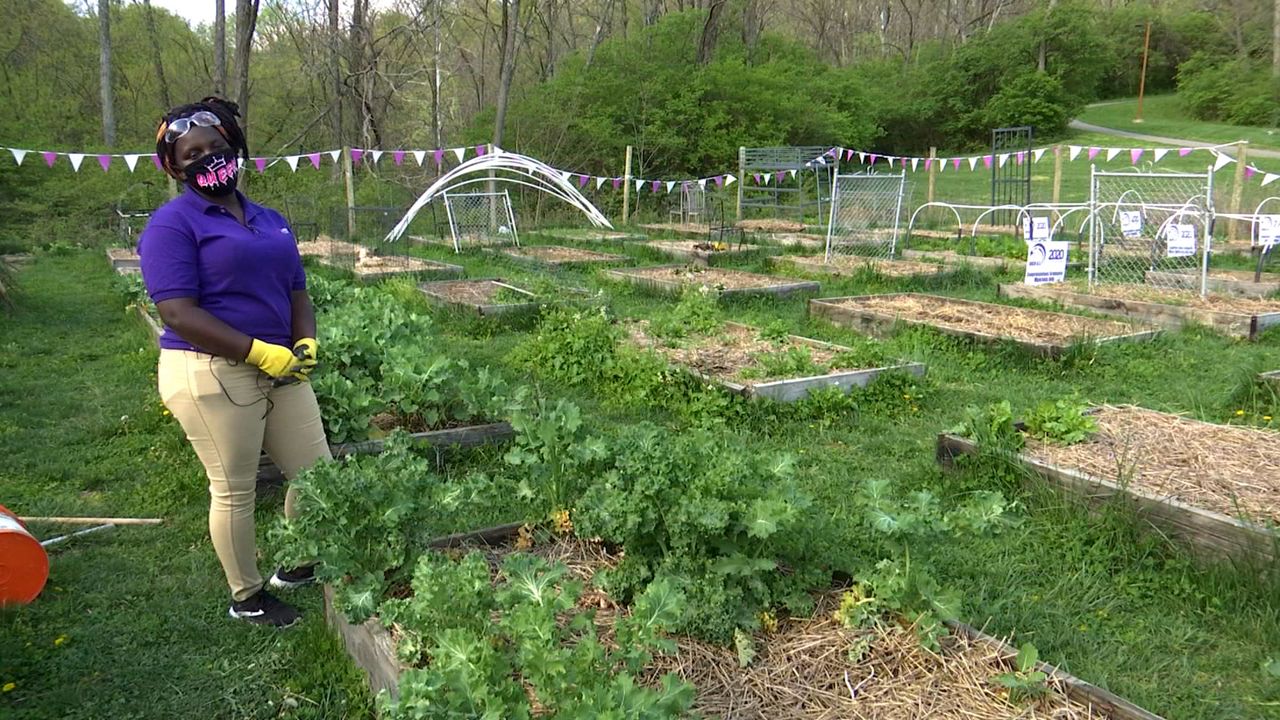 Groundwork puts students to work making Cincinnati greener