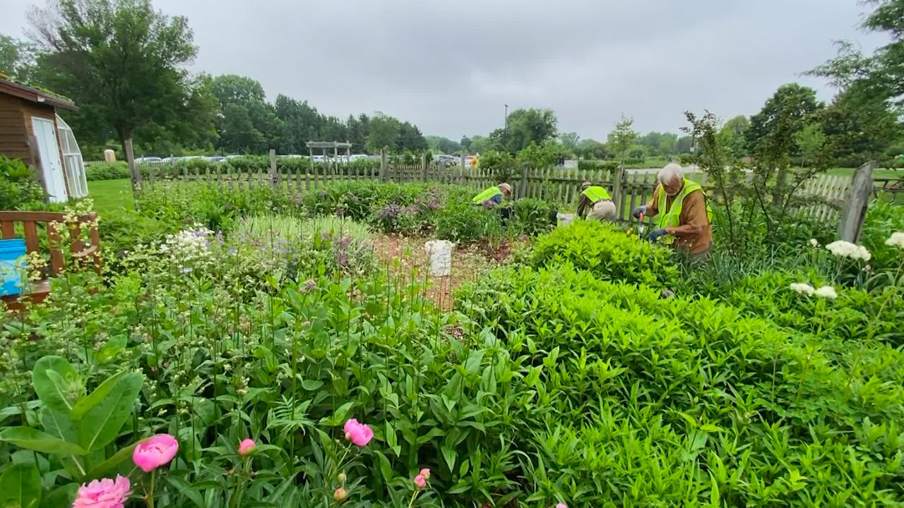 Everyday Hero: Volunteers bring beauty to Appleton gardens