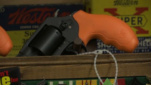 What Is The Red Flag Law?