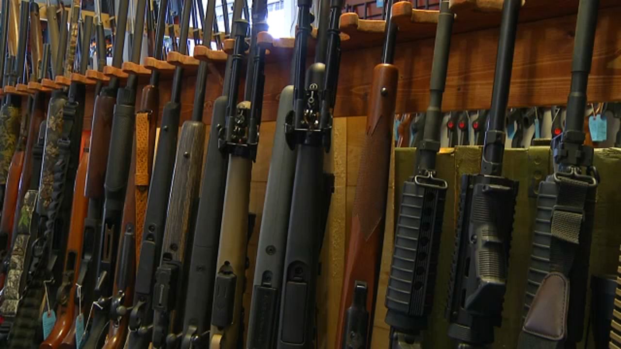 Gov. Abbott Approves $1M Budget for Gun Storage Safety