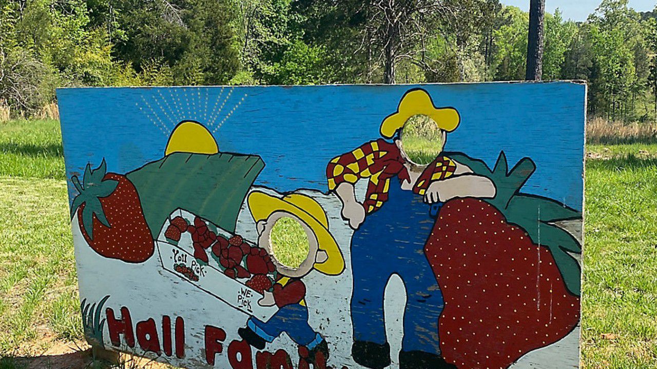 Making new memories: Hall Family Farm opens new location