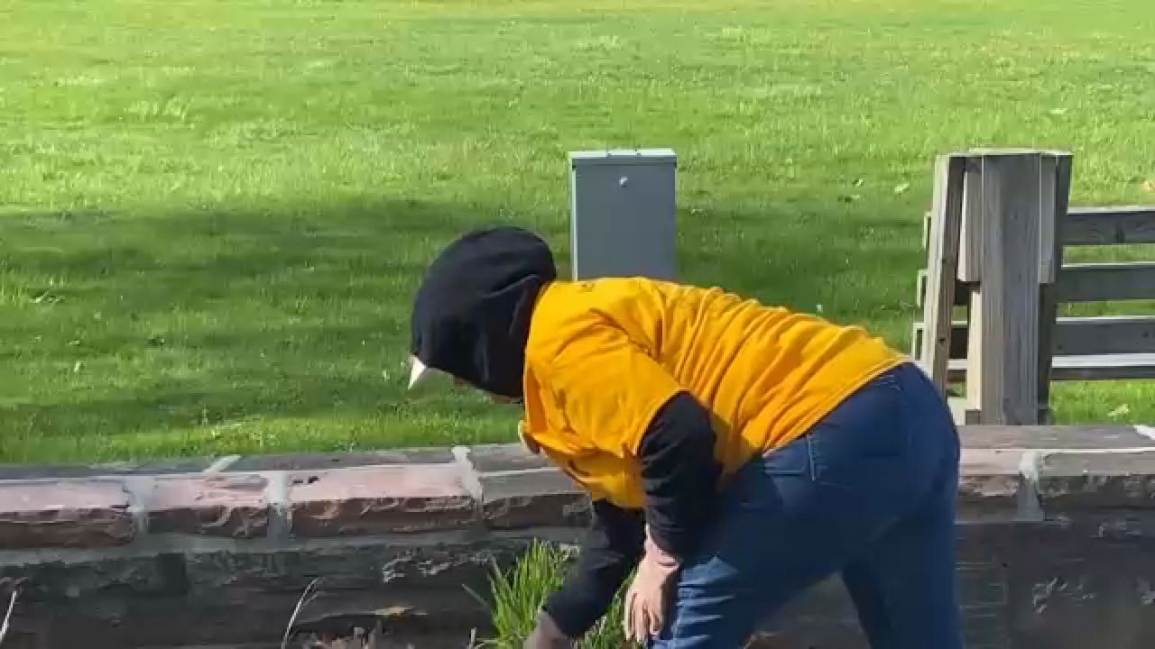 Community celebrates I Love My Park Day at Hamlin Beach