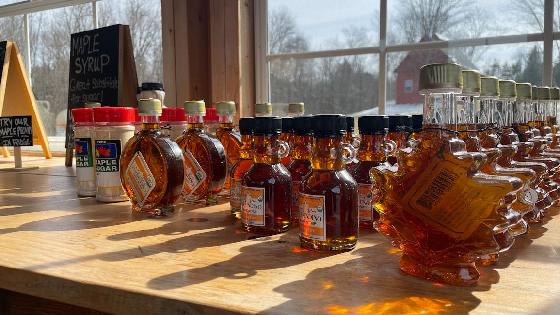 Ferrindino Maple seeing positive results this winter