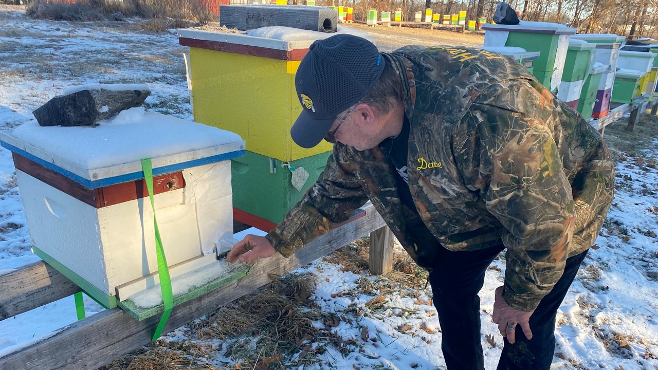 Kentucky beekeeper crafts bee hives for harsh winter months